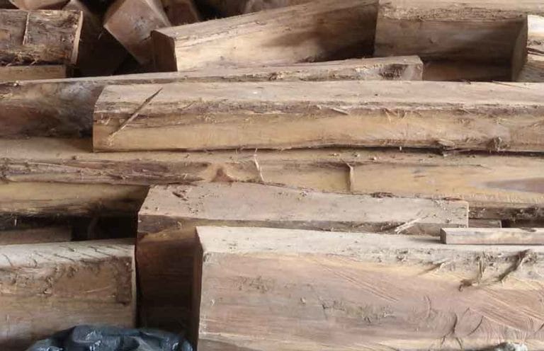 Mengenal Struktur Kayu dan Penggunaannya - Supplier Bahan Konstruksi